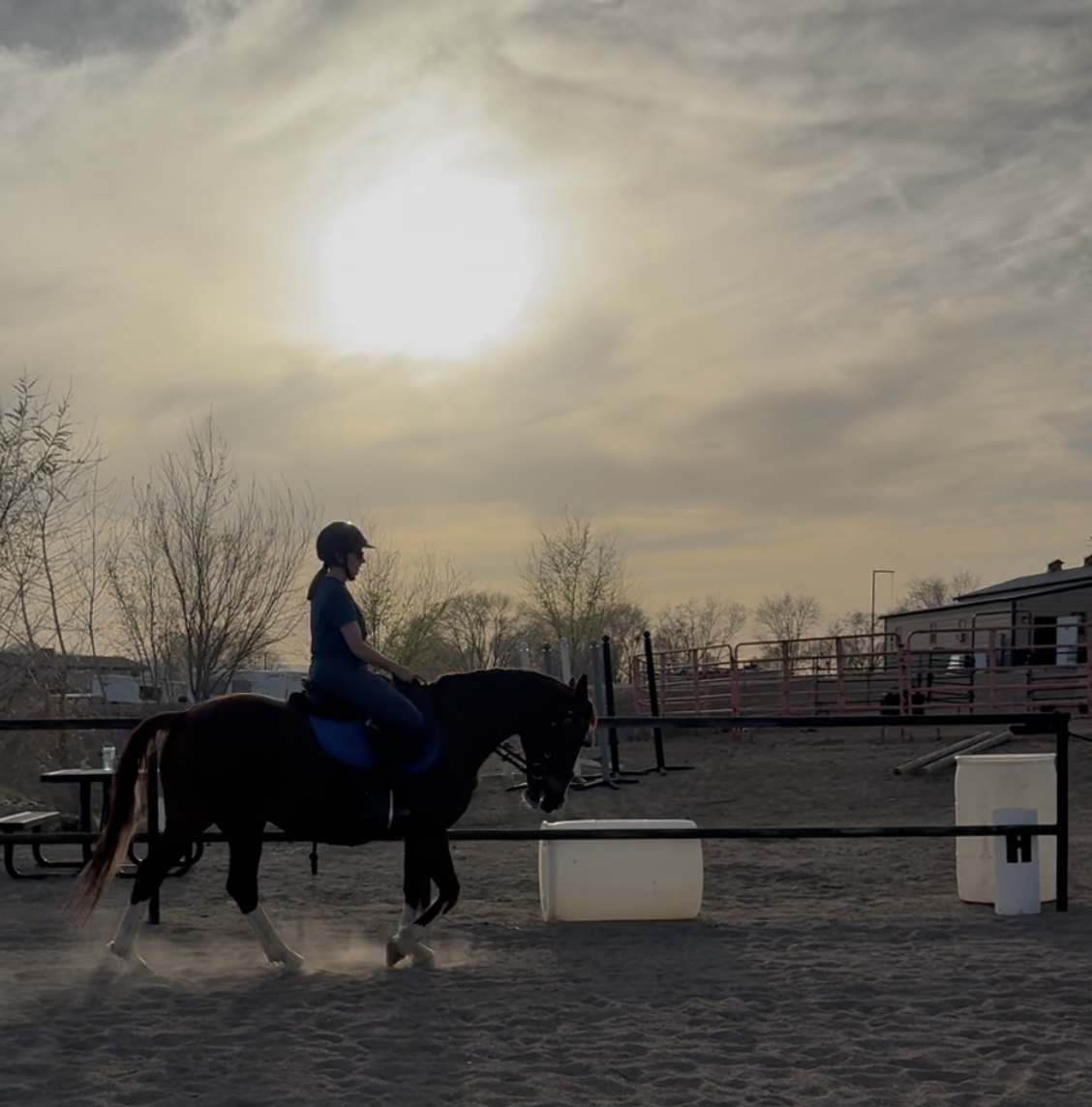 For You and Your Horse – Compass Line Equestrian LLC